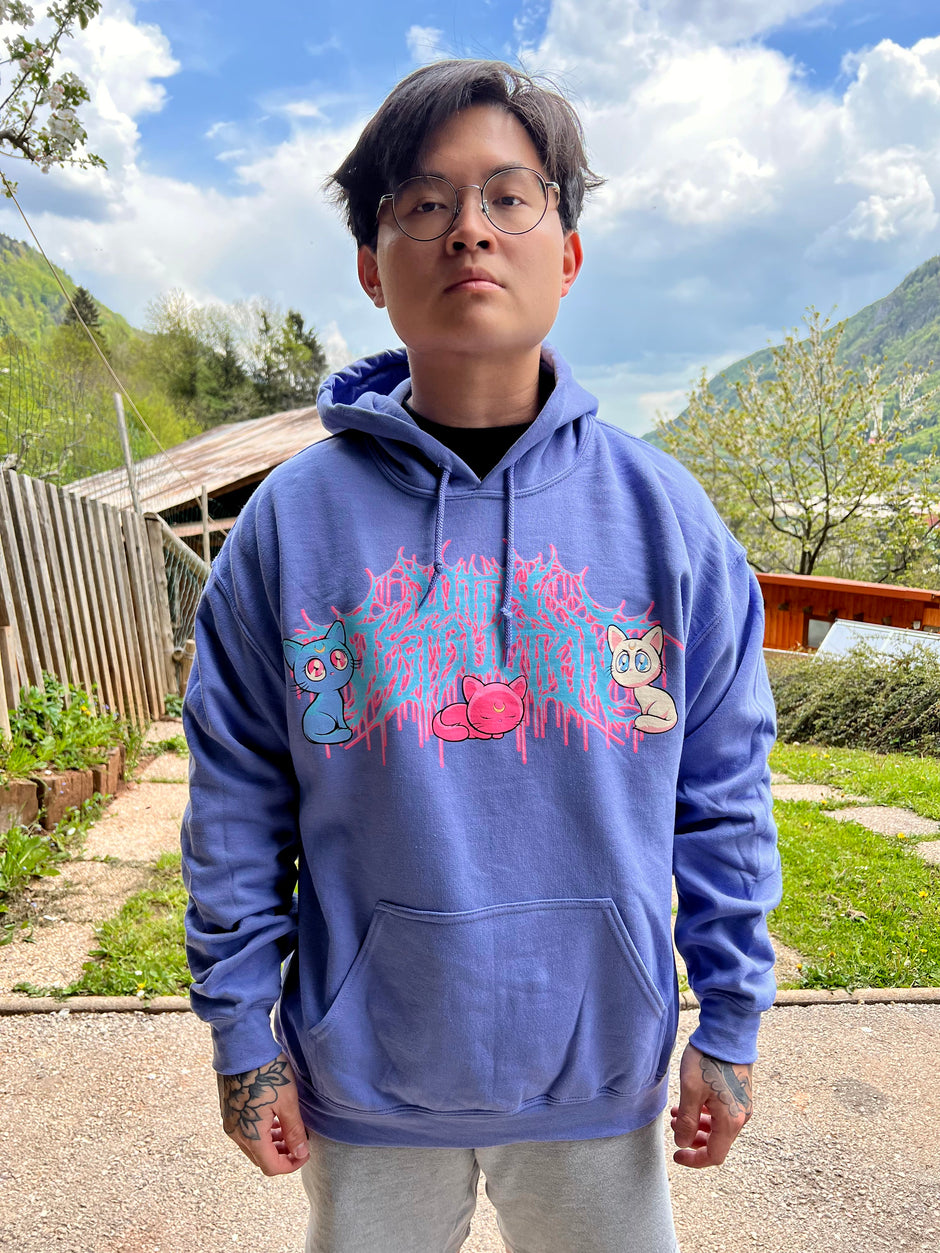 Merch – Within Destruction